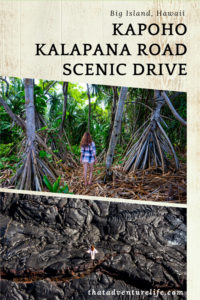 Kapoho Kalapana Road Scenic Drive (Route 137) - Big Island, HI - Live ...