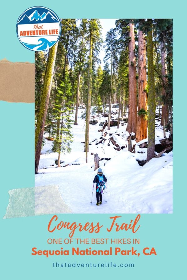 Congress Trail, one of the best hikes in Sequoia National Park - Live ...