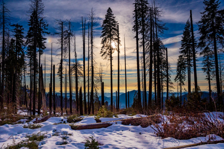Ultimate Guide for Sequoia National Park in the Winter - Live That ...