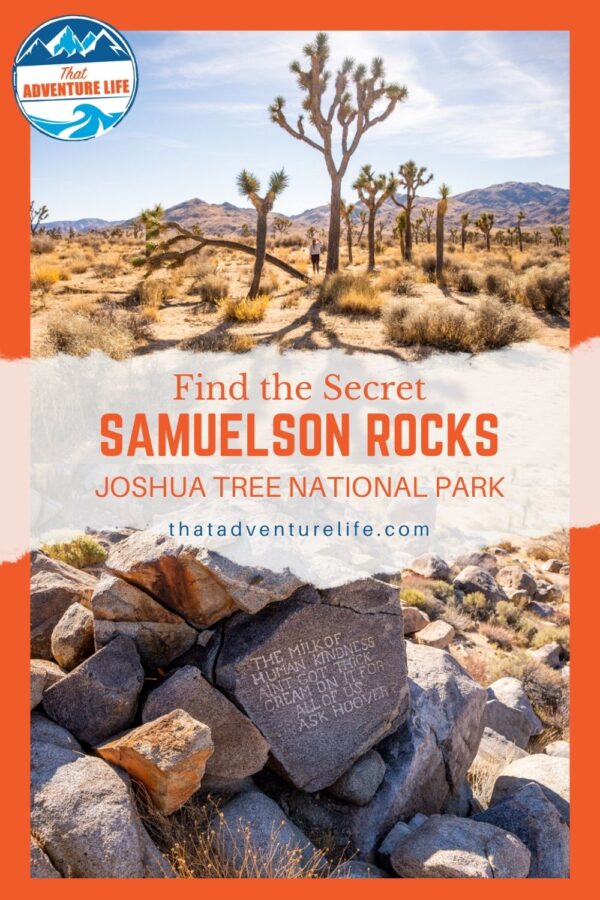 Samuelson's Rocks - a Hidden Secret in Joshua Tree NP - Live That Adventure