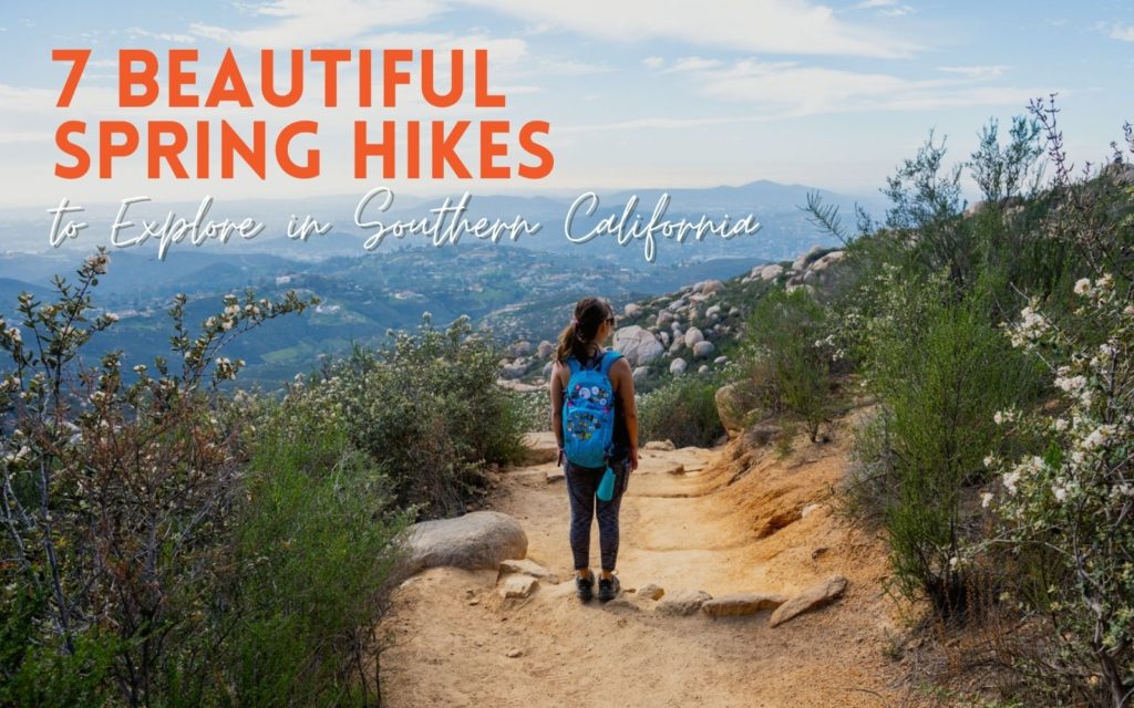 7 Beautiful Spring Hikes to Explore in Southern California - Live That ...