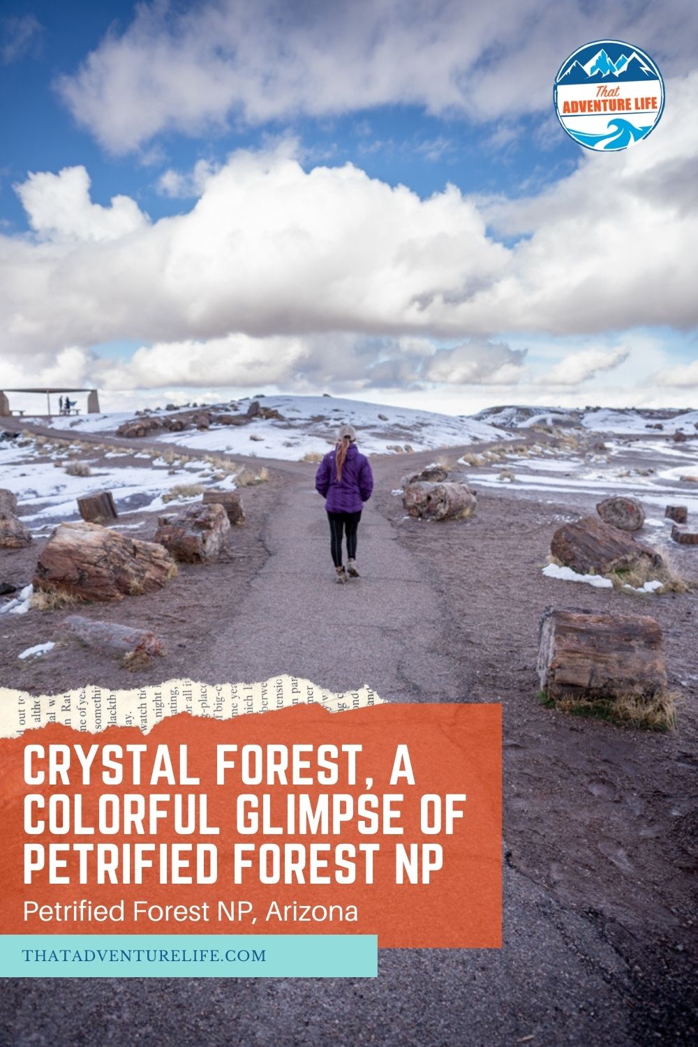 Crystal Forest, a Colorful Glimpse of Petrified Forest NP - Live That ...