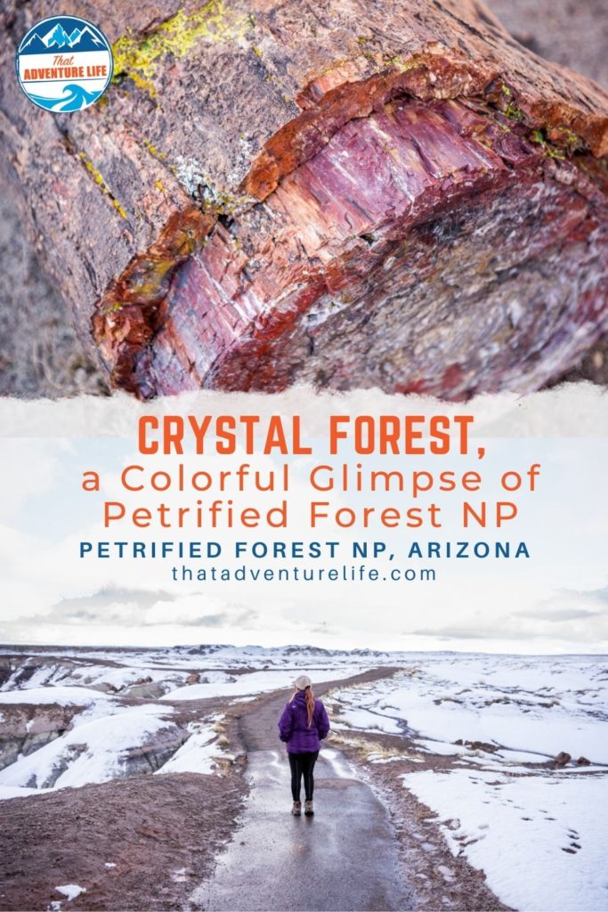 Crystal Forest, a Colorful Glimpse of Petrified Forest NP - Live That ...
