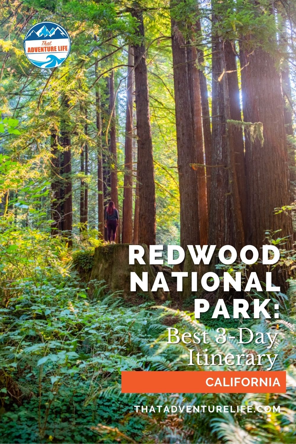 How to Visit Redwood National Park: Best 3-Day Itinerary - Live That ...