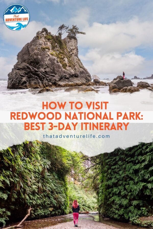How to Visit Redwood National Park: Best 3-Day Itinerary - Live That ...