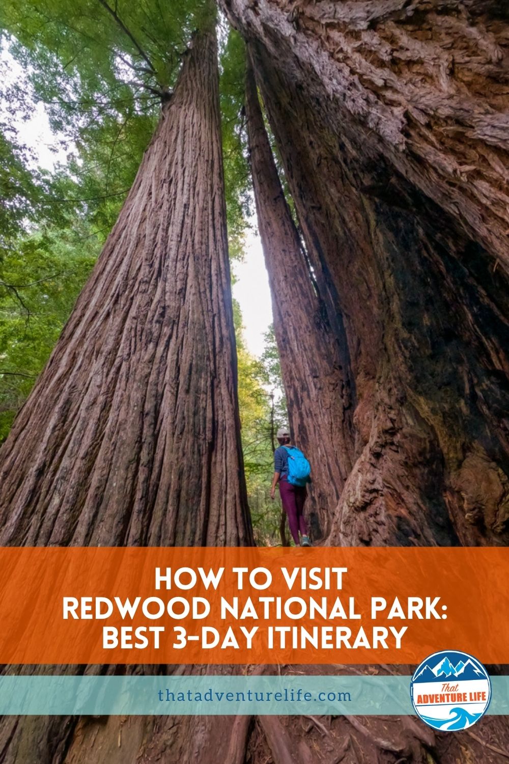 How to Visit Redwood National Park: Best 3-Day Itinerary - Live That ...