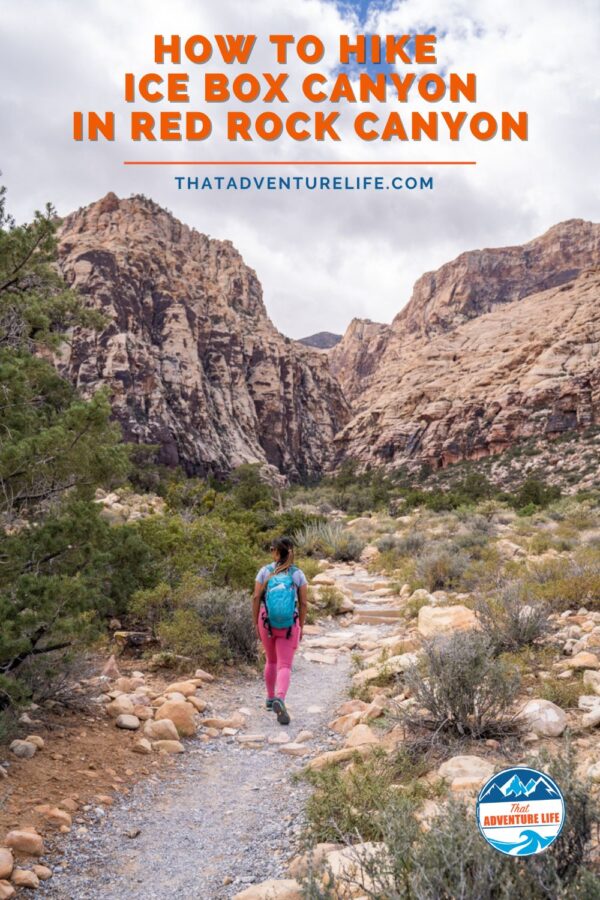 How to Hike Ice Box Canyon in Red Rock Canyon | NV - Live That Adventure