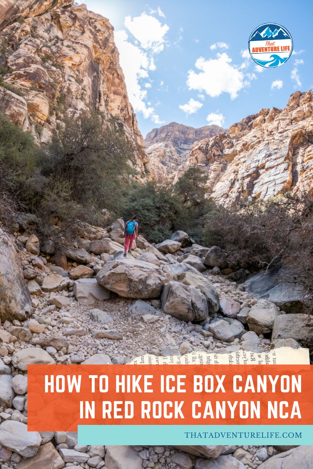 How to Hike Ice Box Canyon in Red Rock Canyon | NV - Live That Adventure