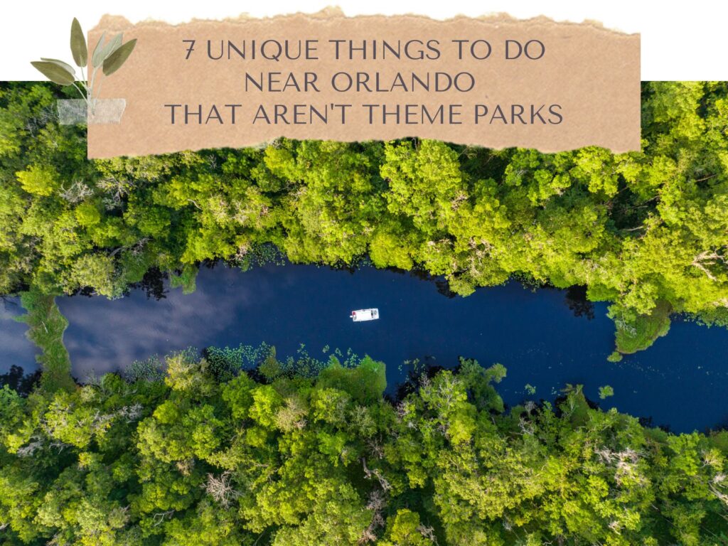 7 Unique Things to Do Near Orlando That Aren't Theme Parks - Live That ...