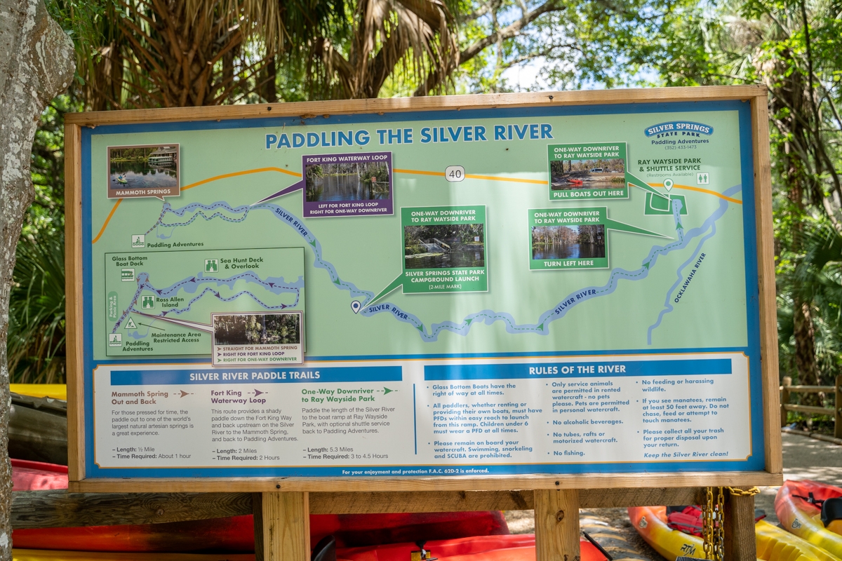 Most Beautiful Kayaking Spot in Florida: Silver Springs State Park ...
