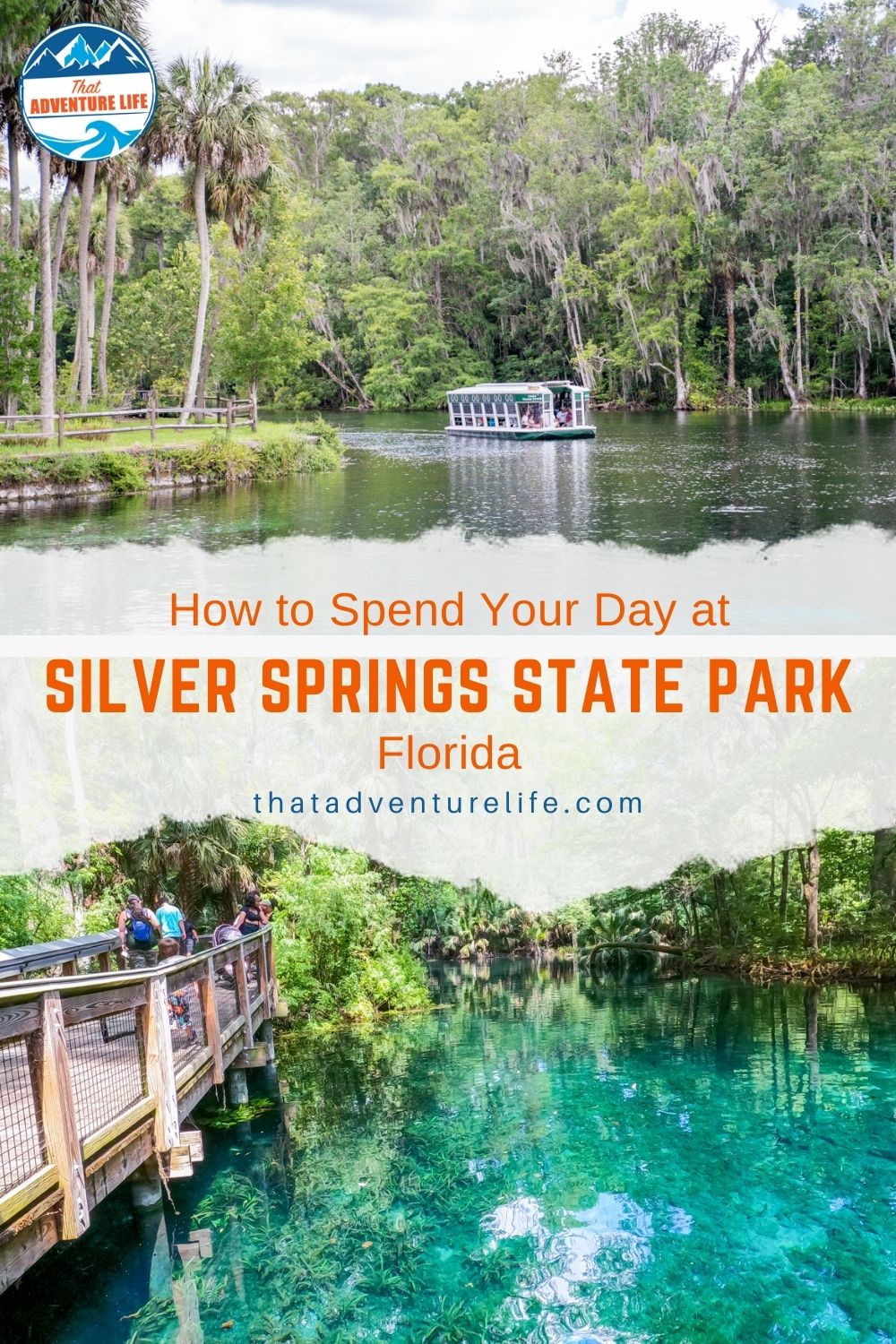 How to Spend Your Day at Silver Springs State Park | Florida - Live ...