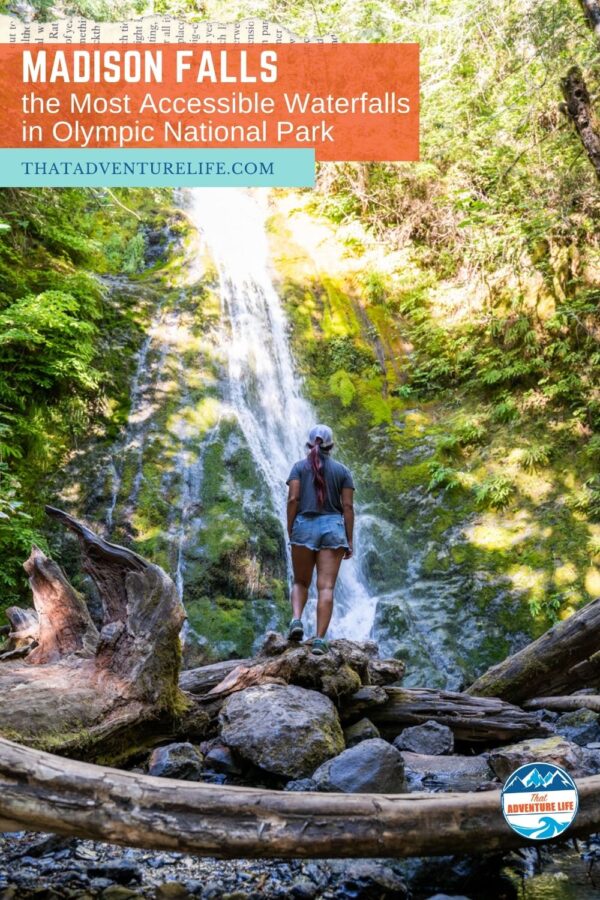 Madison Falls, the Most Accessible Waterfalls in Olympic National Park ...