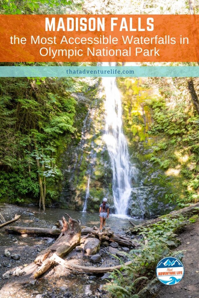 Madison Falls, the Most Accessible Waterfalls in Olympic National Park ...