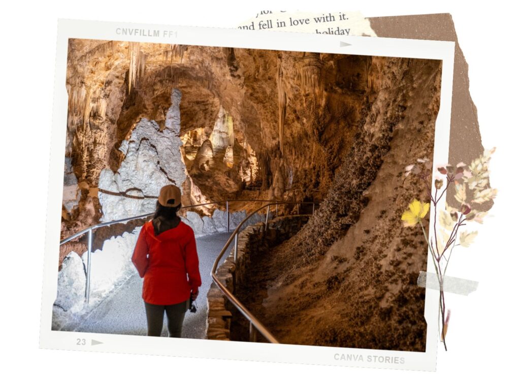 Carlsbad Caverns Big Room: Everything You Need to Know - Live That ...