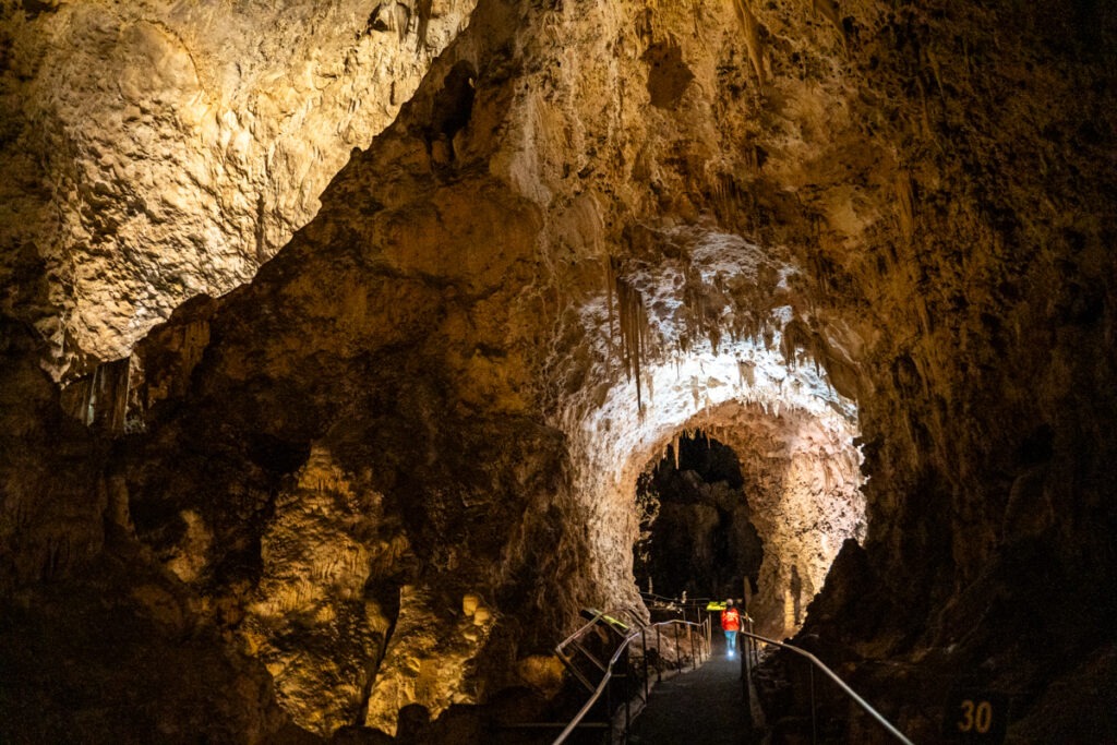 Carlsbad Caverns Big Room: Everything You Need to Know - Live That ...