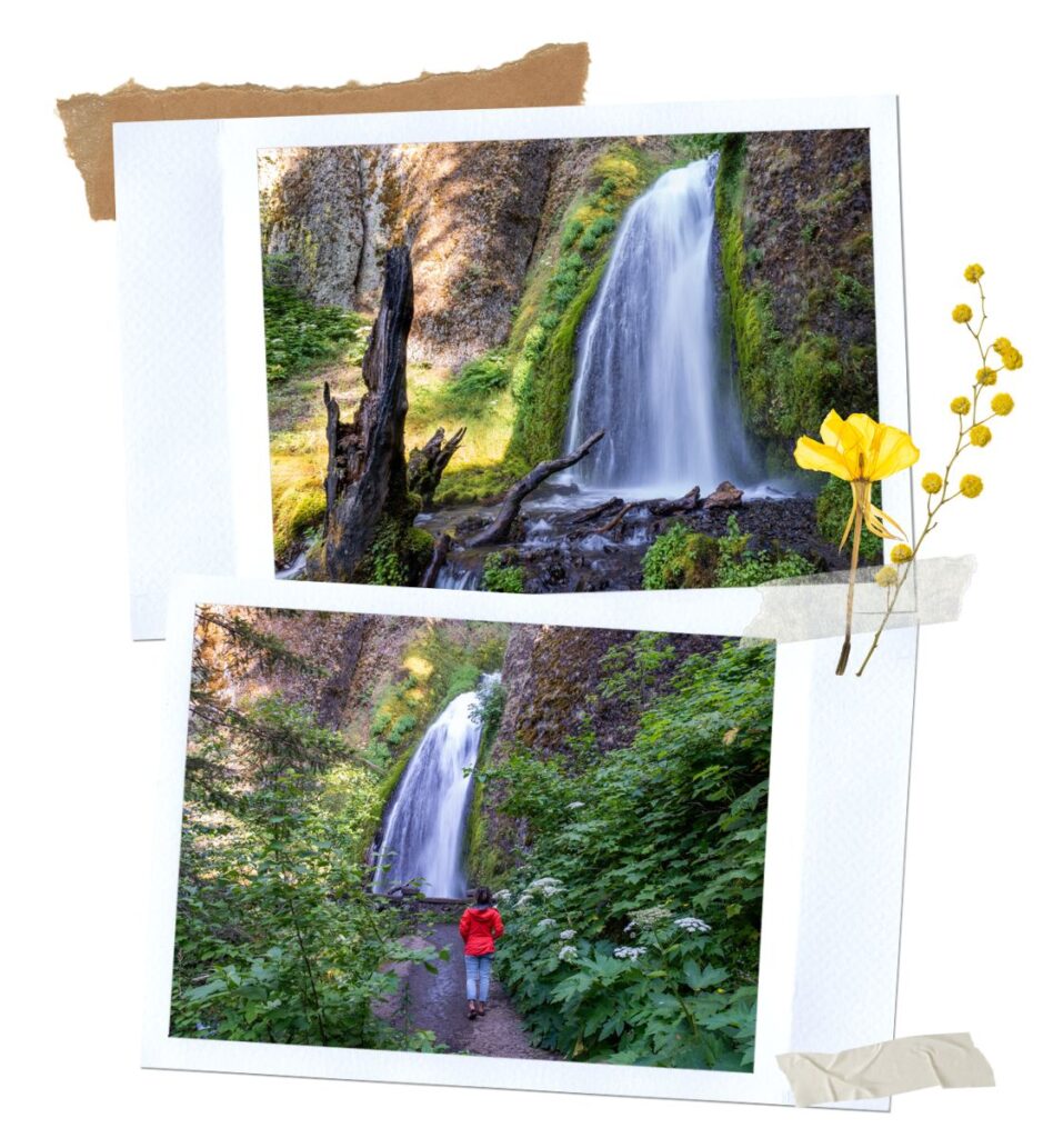 Columbia River Gorge Waterfall Corridor: Everything You Need to Know ...