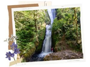 Columbia River Gorge Waterfall Corridor: Everything You Need to Know ...