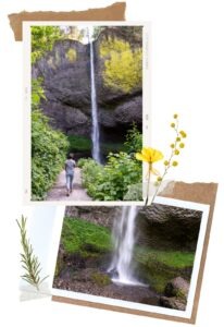 Columbia River Gorge Waterfall Corridor: Everything You Need to Know ...
