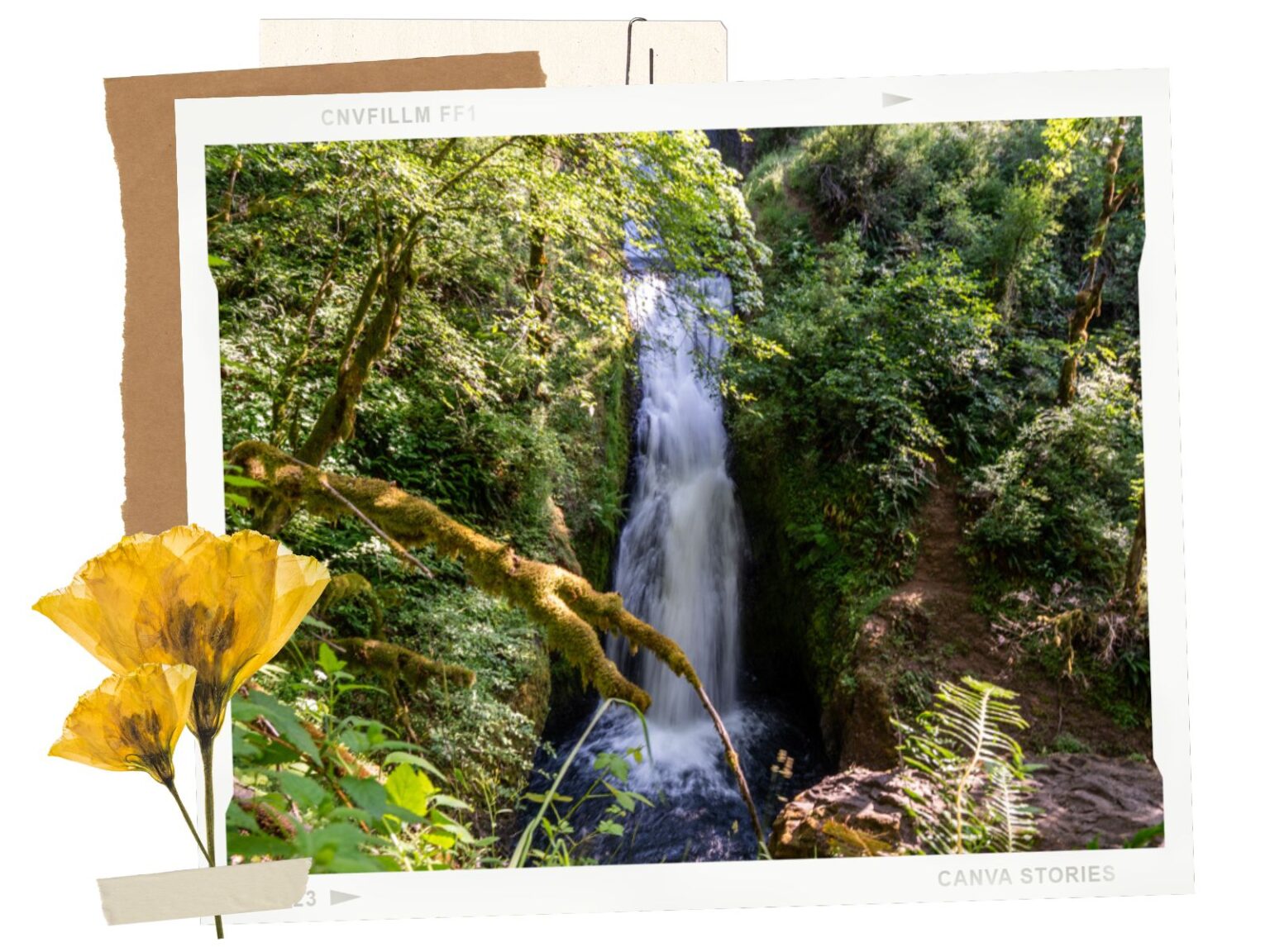 Columbia River Gorge Waterfall Corridor: Everything You Need to Know ...