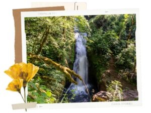 Columbia River Gorge Waterfall Corridor: Everything You Need to Know ...