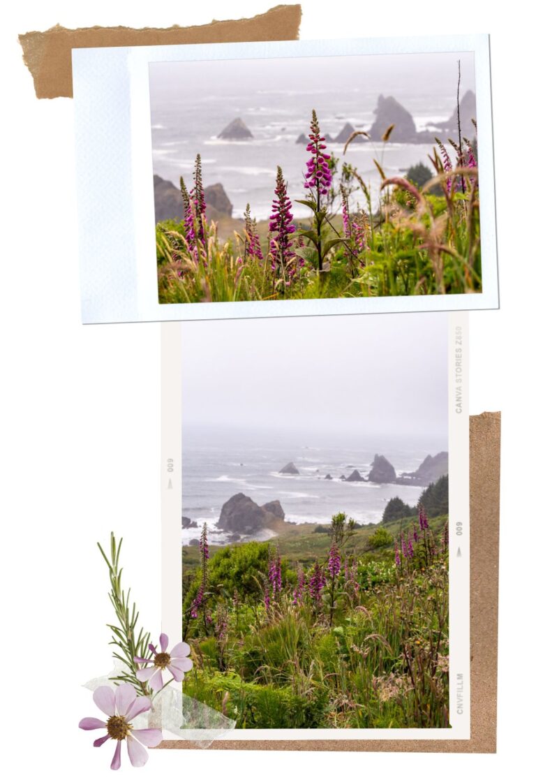 How to Visit Samuel H. Boardman Scenic Corridor, Oregon - Live That ...